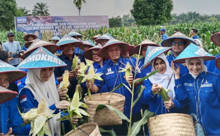 Demokrat Riau Rayakan HUT ke-24 dan Ultah SBY, Panen Jagung-Tanam Cabai