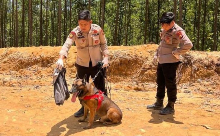 Korbankan Nyawa demi Nyawa, Kisah Reno Anjing K-9 Polda Riau Gugur ...